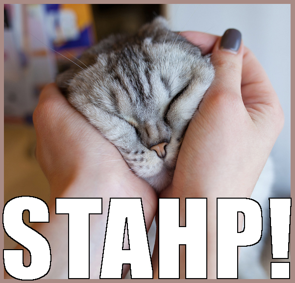 STAHP Meaning - What Does STAHP Mean?
