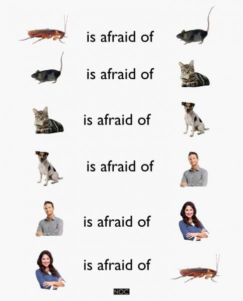 Learn English with Funny Jokes that Make You Laugh