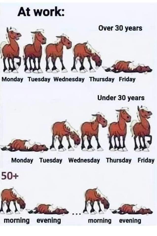 Learn English with Funny Jokes that Make You Laugh