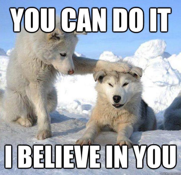 50 "You Can Do It MEME" That will motivate You to Success